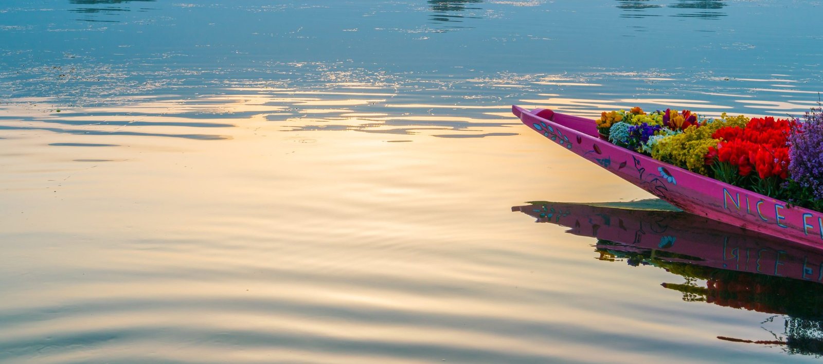 Book Shikara in Dal Lake - Online Shikara booking in Kashmir