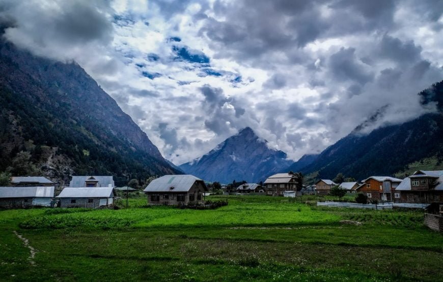 Pine Tree Resort - Tripmore