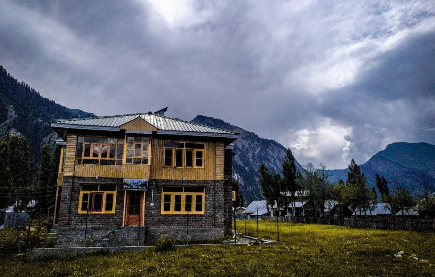 Pine Tree Resort - Tripmore