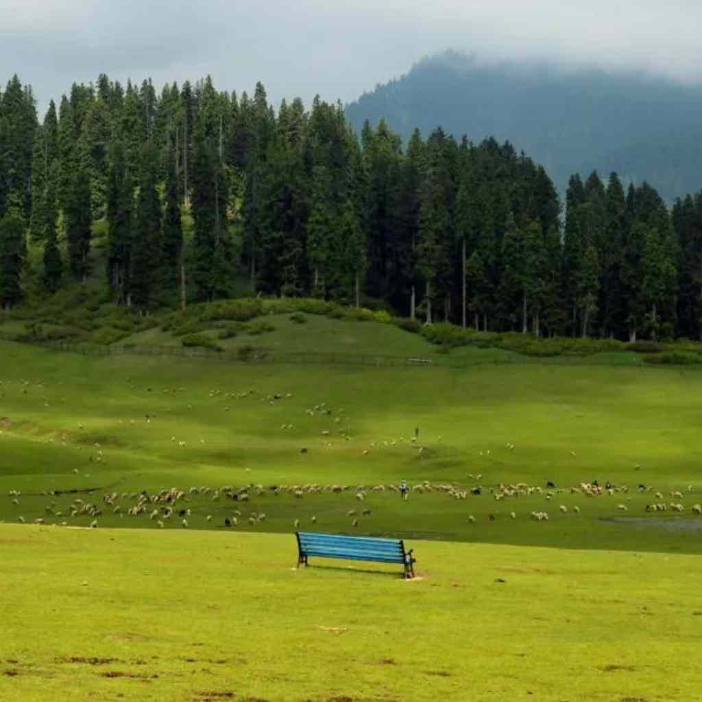 Doodhpathri : Complete Tour Guide - Complete Details 2025-26 Tripmore