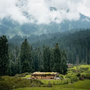 Doodhpathri : Complete Tour Guide - Complete Details 2026-27 Tripmore