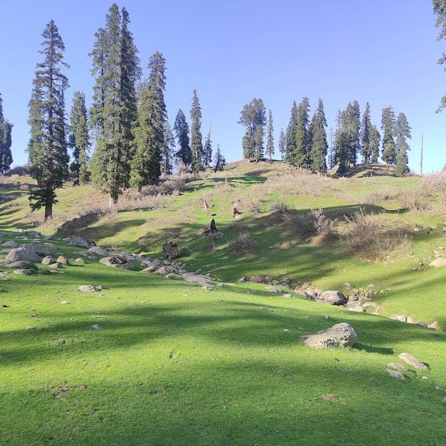 Doodhpathri : Complete Tour Guide - Complete Details 2026-27 Tripmore