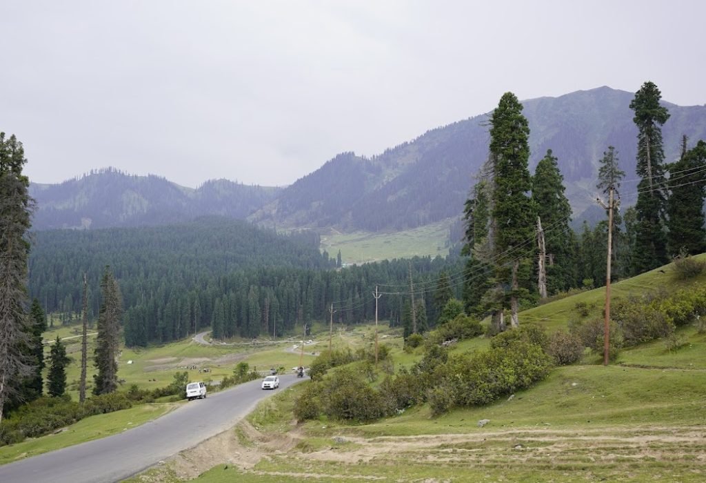 Doodhpathri : Complete Tour Guide - Tripmore