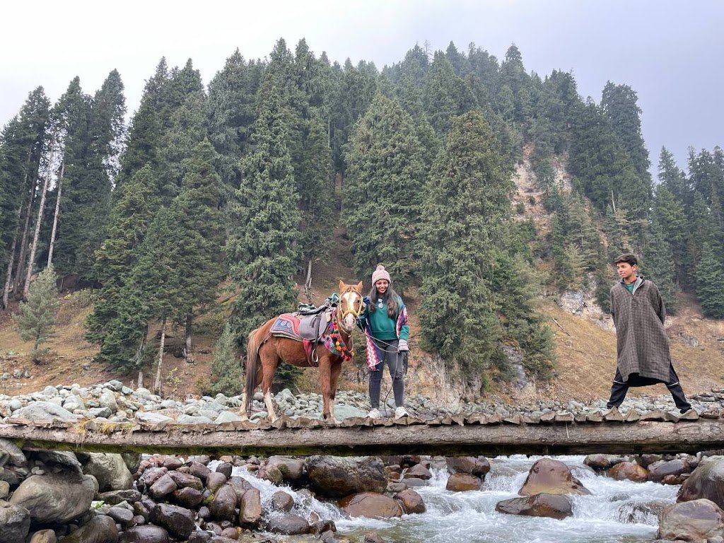 Activities to do in Doodhpathri - Complete Information in 2025 - Tripmore